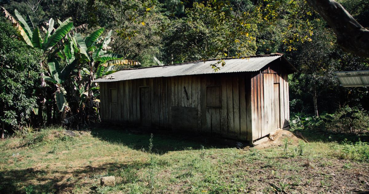 Decreto que regulamenta titulação de quilombos no Brasil completa 20 ...